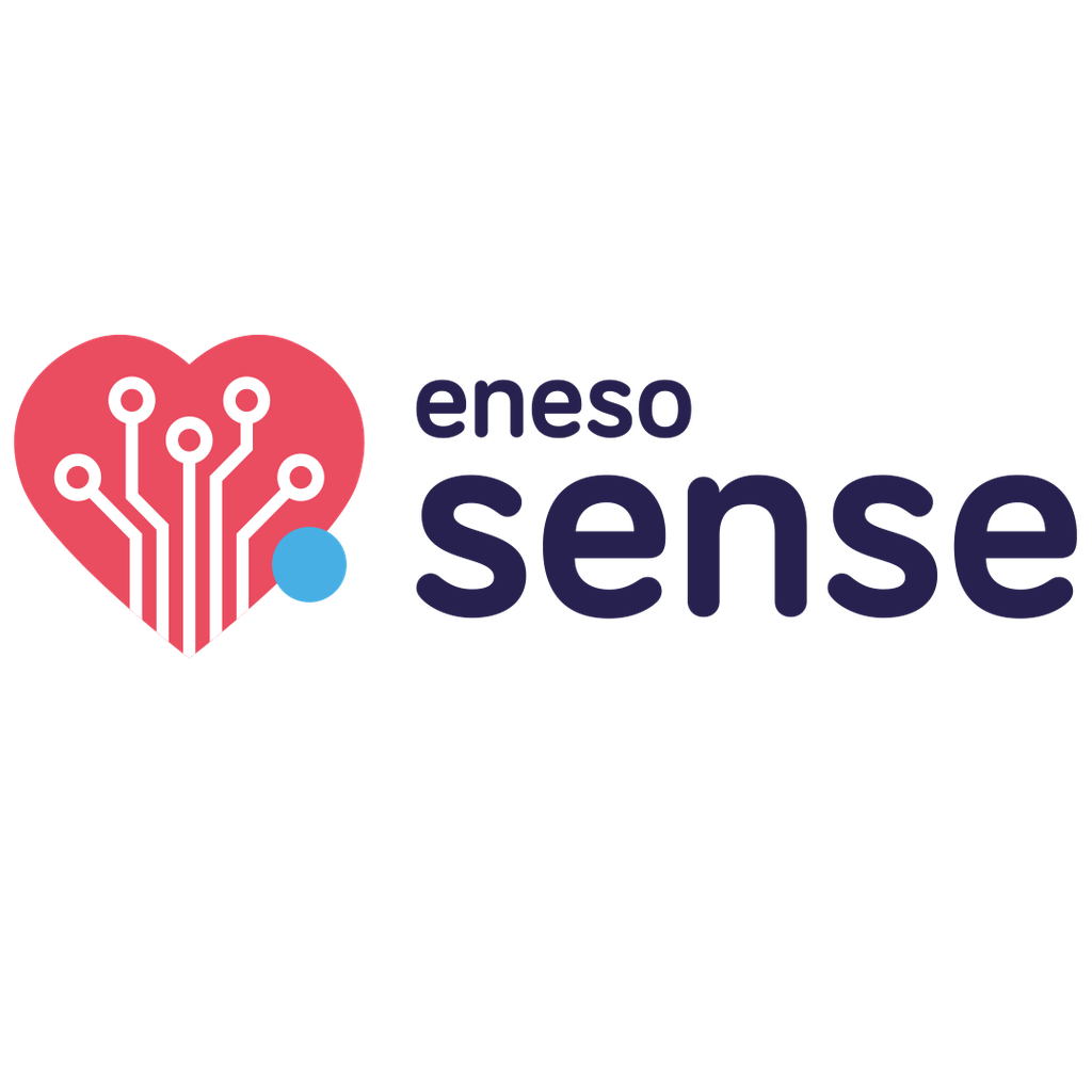 Formación inicial en sala Sense | Eneso